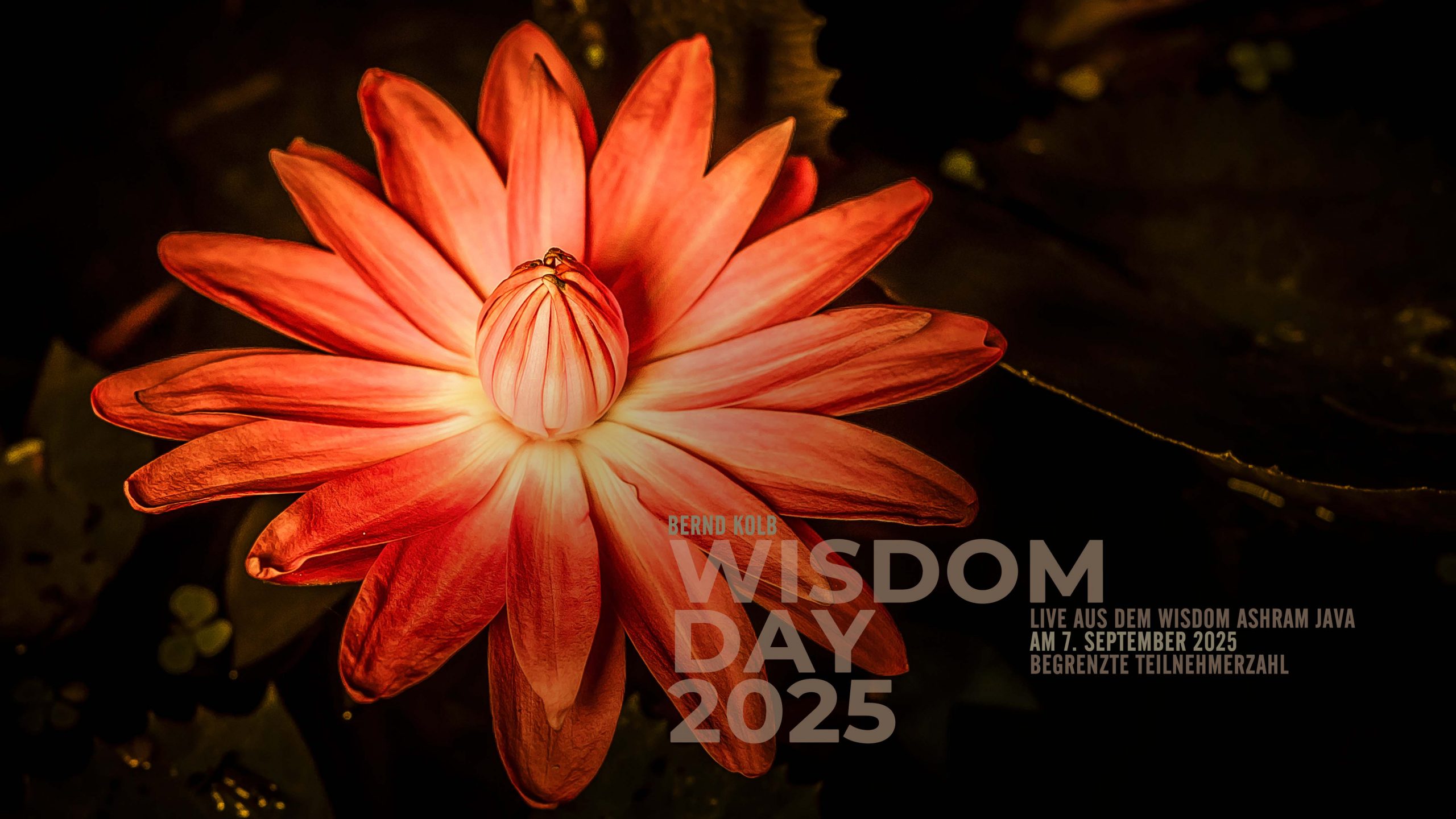 WISDOM DAY JAVA - WISDOM WAY